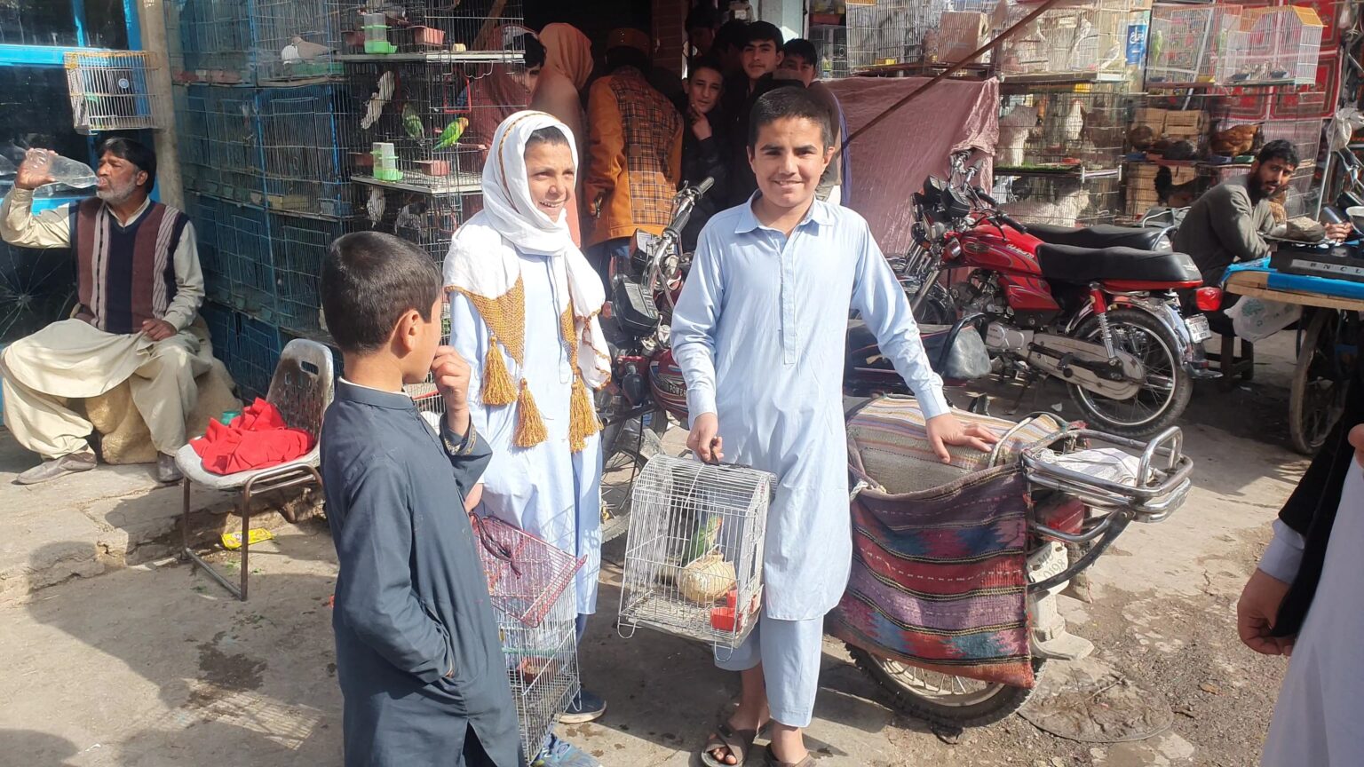 Quetta’s Kasi Road Birds Market | A Haven for Bird Lovers